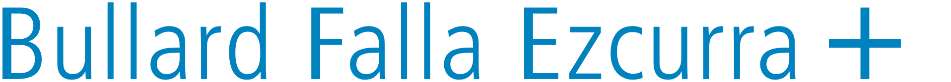 PUBLICACIONES | Bullard Falla Ezcurra